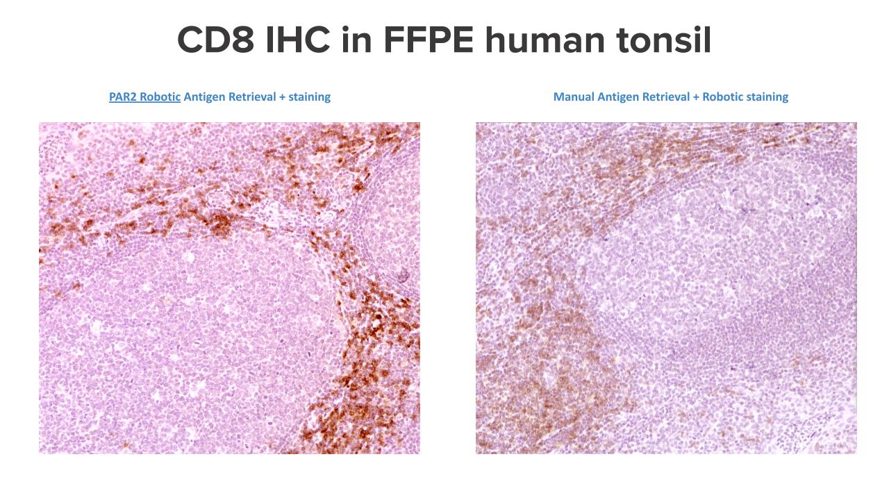 Parhelia Bio: Revolutionising the Automated Staining Market with Opentrons