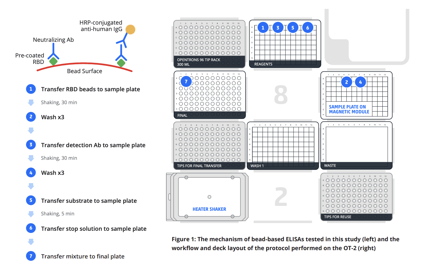 Automation of bead-based ELISA forSARS-CoV-2 | Opentrons