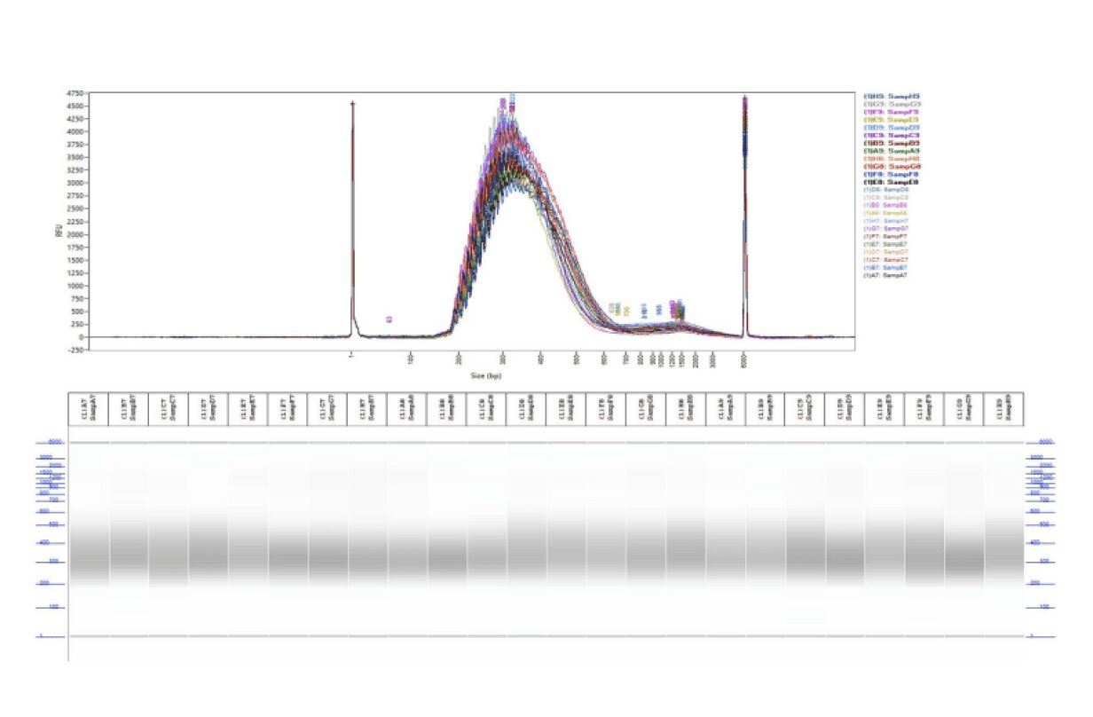Opentrons NGS Fully-automated Workstation | Get Started Today