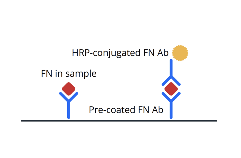 Automated ELISA | Automation with Opentrons Labworks