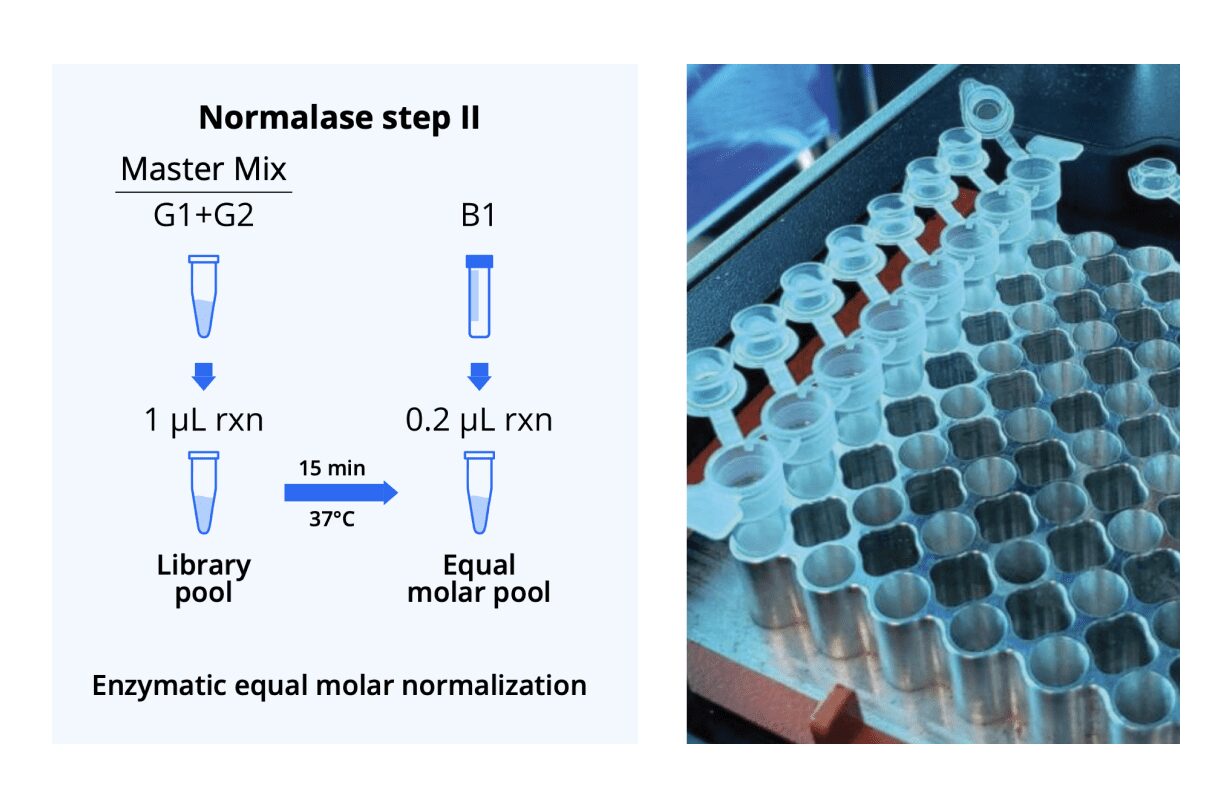 Opentrons NGS Fully-automated Workstation | Get Started Today