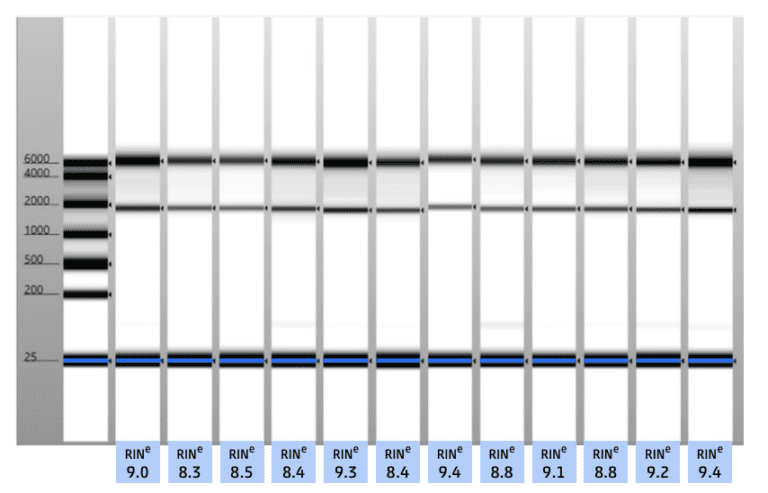 Opentrons App Notes, Protocols, Webinars, Tips & Tricks, Documentation