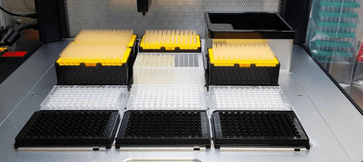 Serial Dilution Guide for Laboratory Sciences